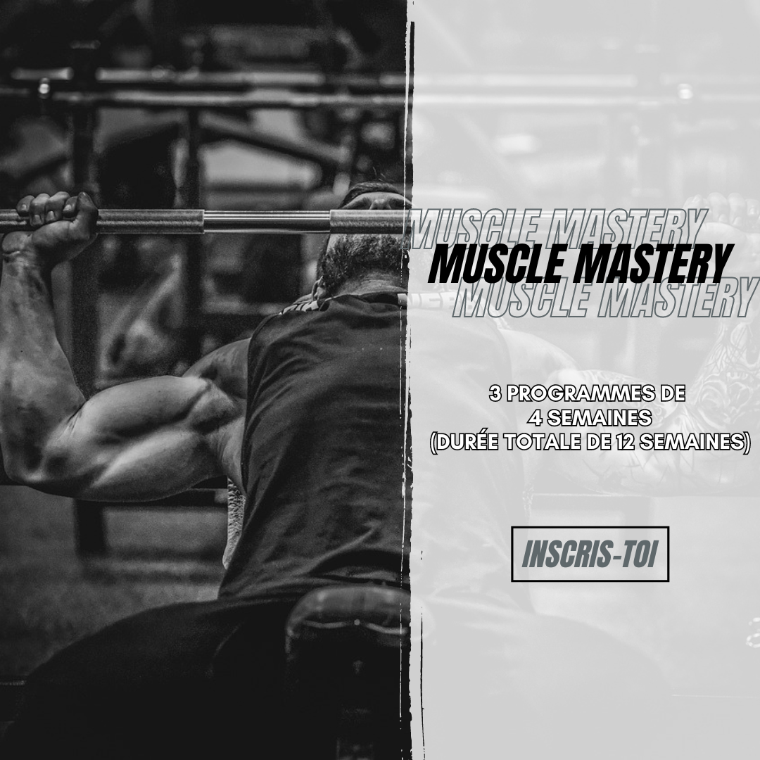 MUSCLE MASTERY by Sur le chemin du sommet